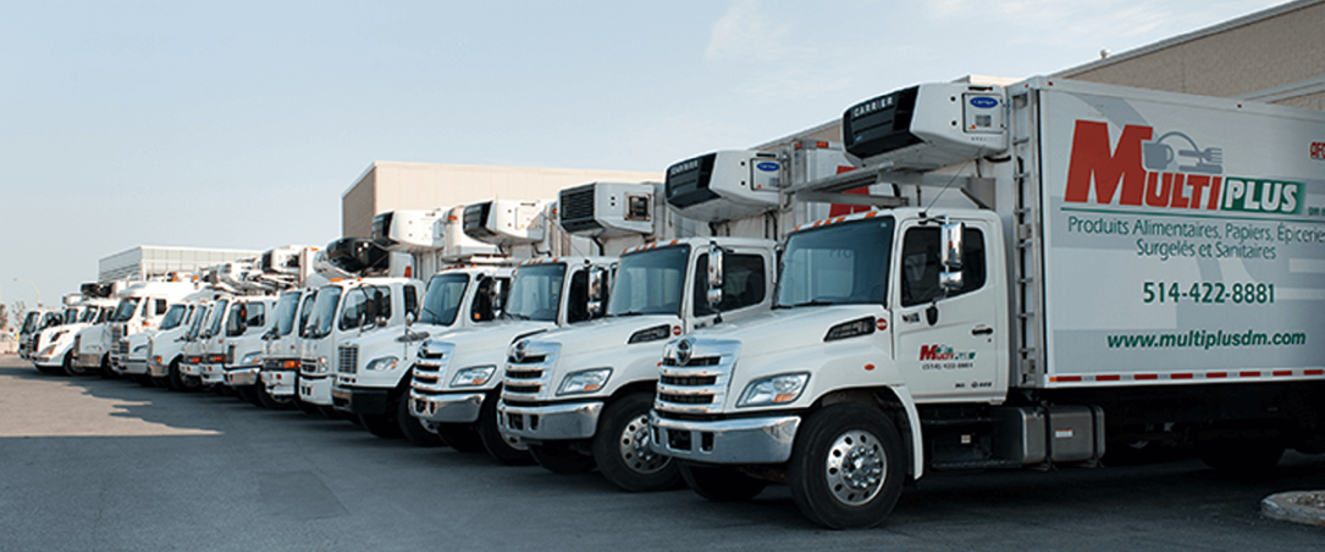 ABOUT US – Multiplus DM