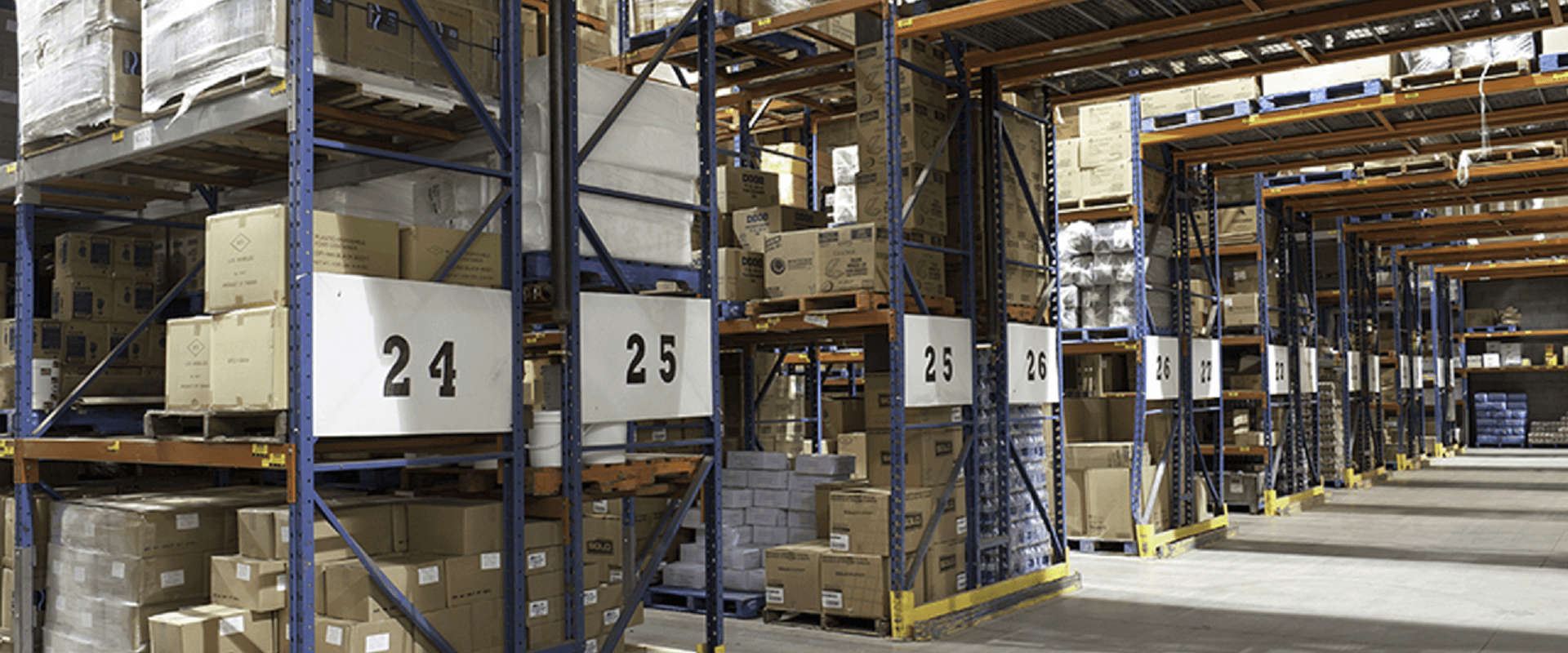 ABOUT US – Multiplus DM